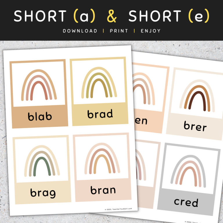 CCVC Words Flash Cards: Short Vowels (A E I O U), Boho Rainbow, [SET 3 ...