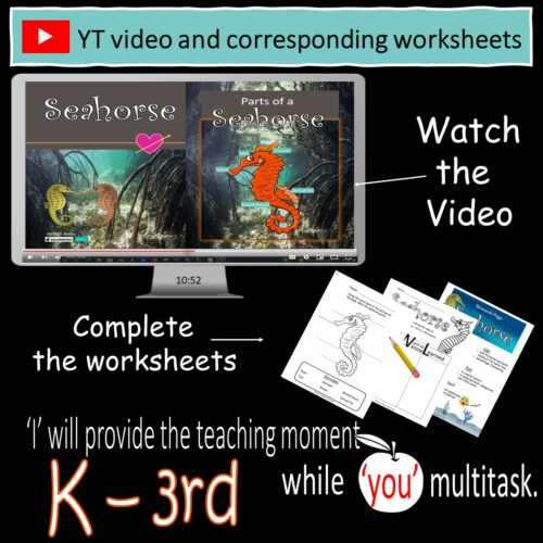 Seahorse Research Book for primary grades w/video K-3rd | Made By Teachers