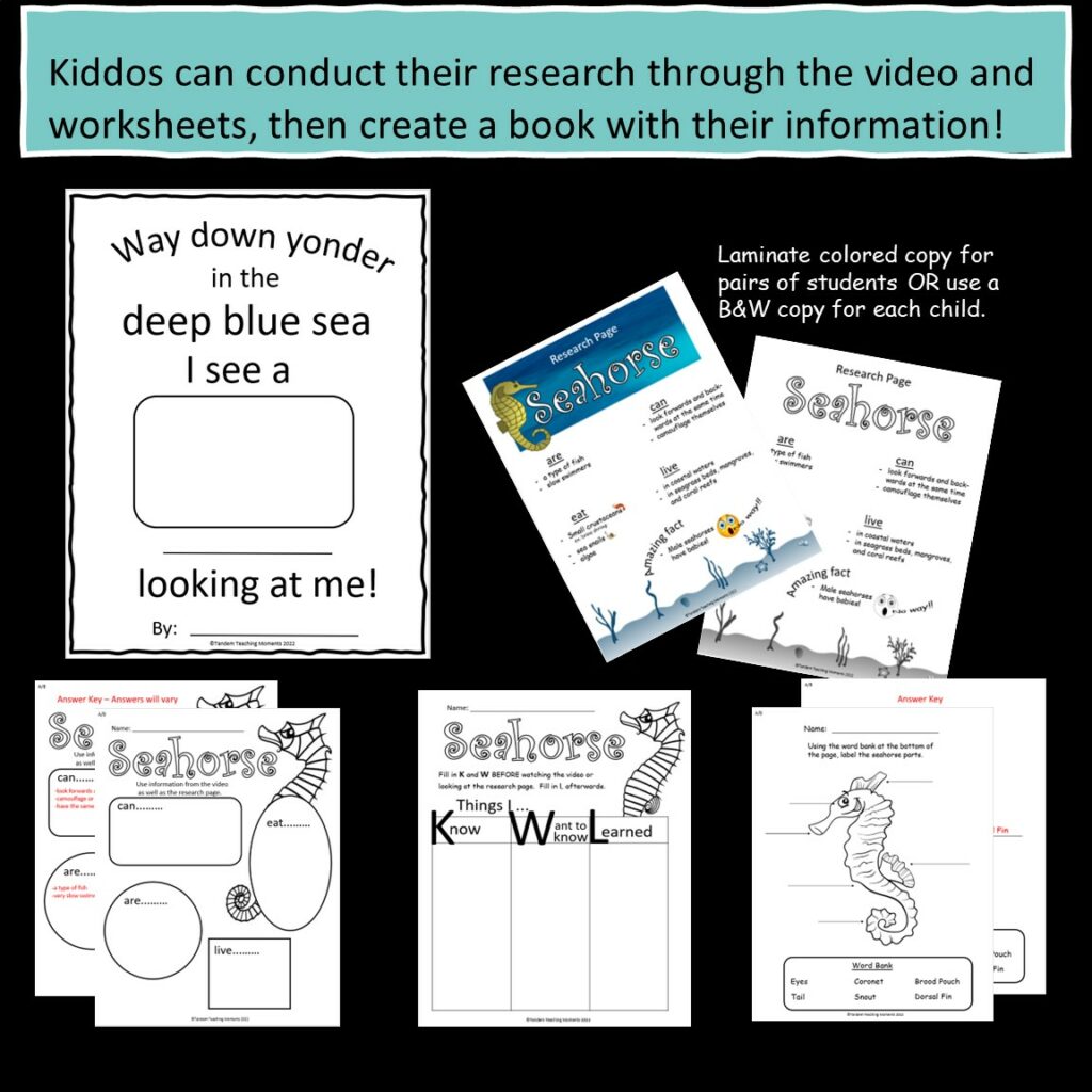 Seahorse Research Book for primary grades w/video K-3rd | Made By Teachers