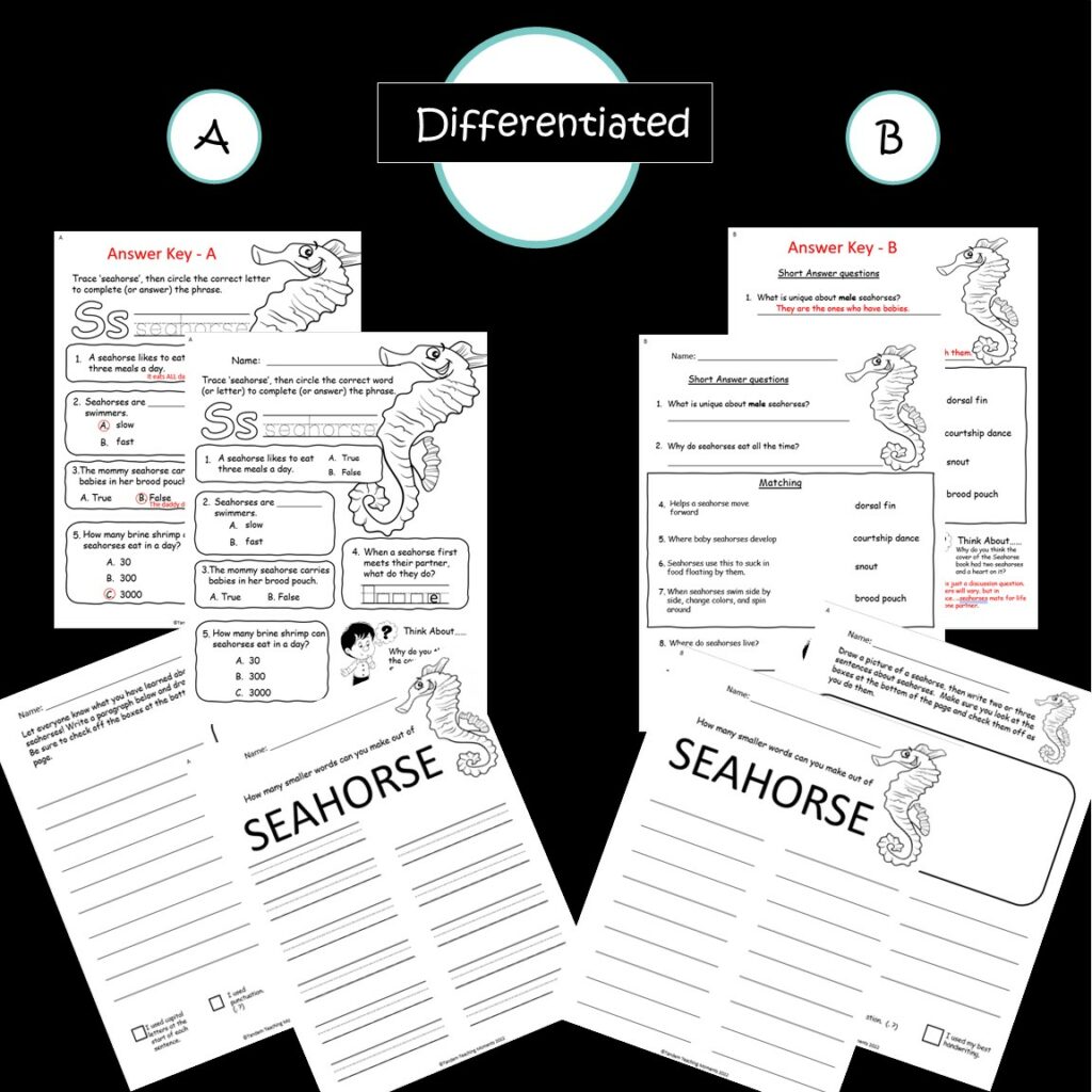 Seahorse Research Book for primary grades w/video K-3rd | Made By Teachers