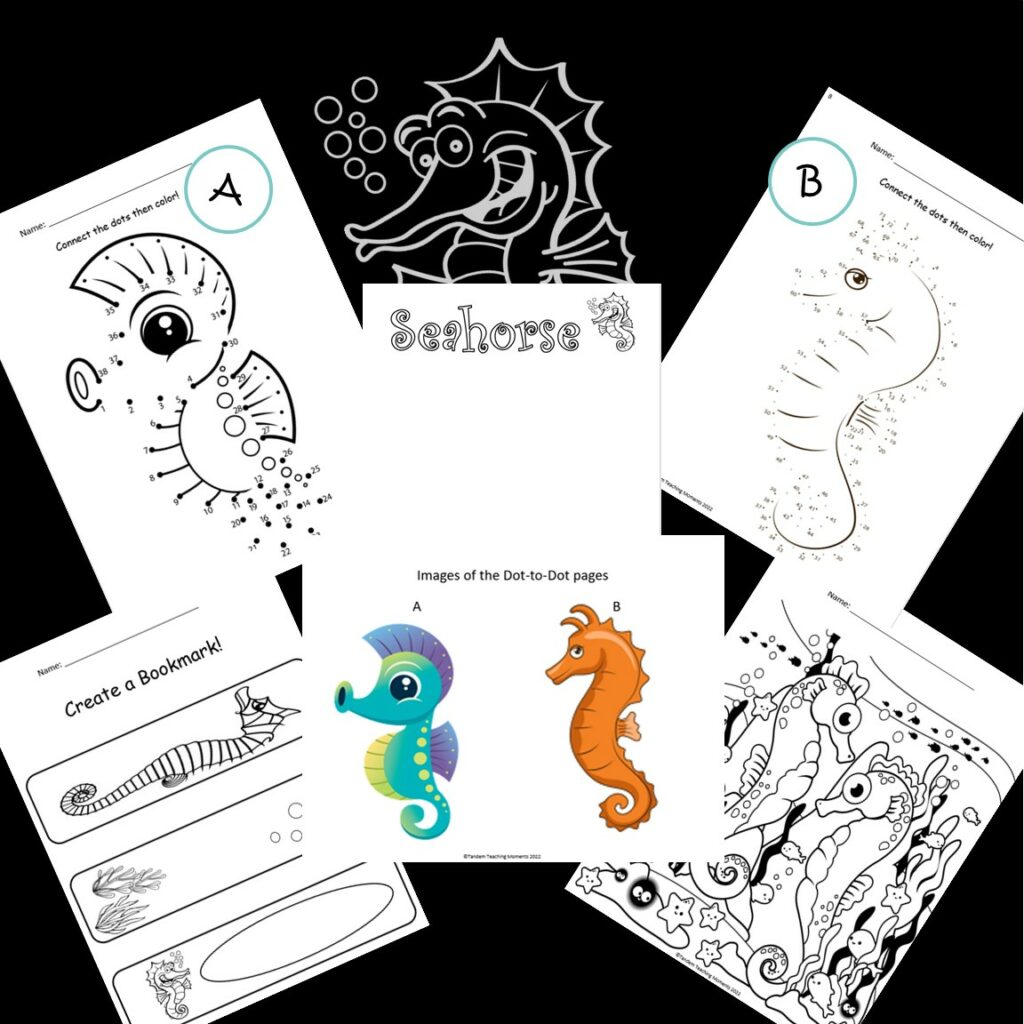 Seahorse Research Book for primary grades w/video K-3rd | Made By Teachers