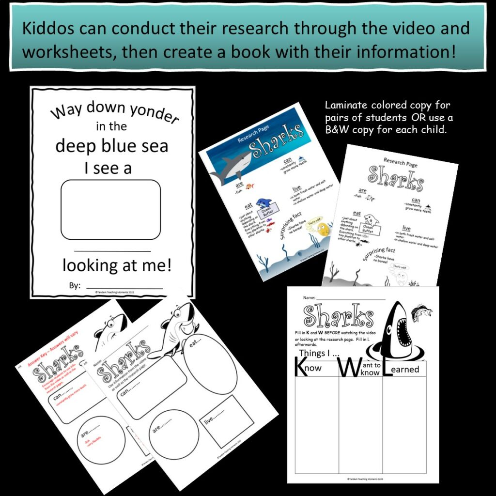 Shark Research Book for primary grades w/video K-3rd | Made By Teachers
