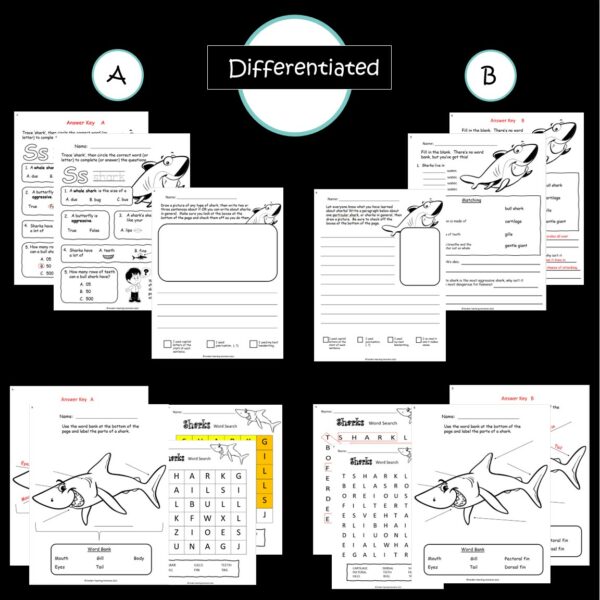 Shark Research Book for primary grades w/video K-3rd - Made By Teachers