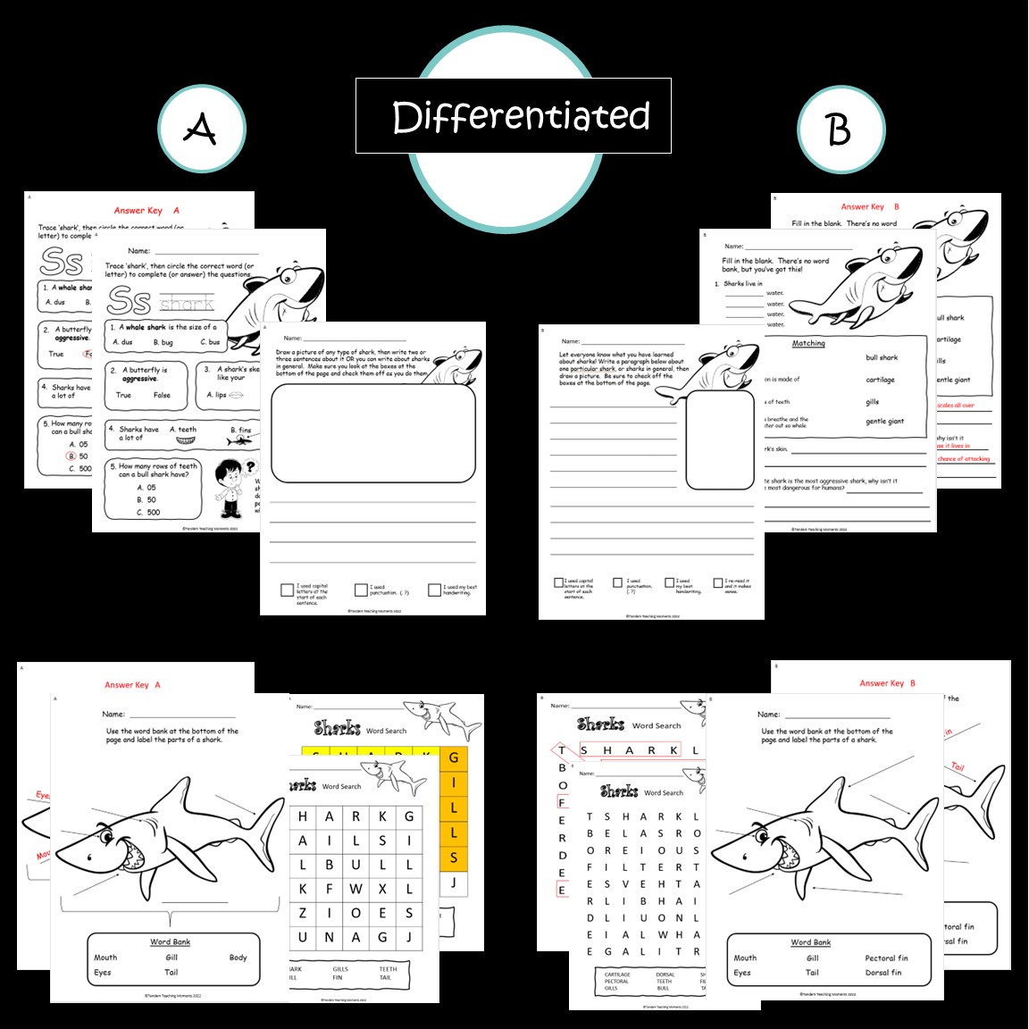 Shark Research Book for primary grades w/video K-3rd | Made By Teachers