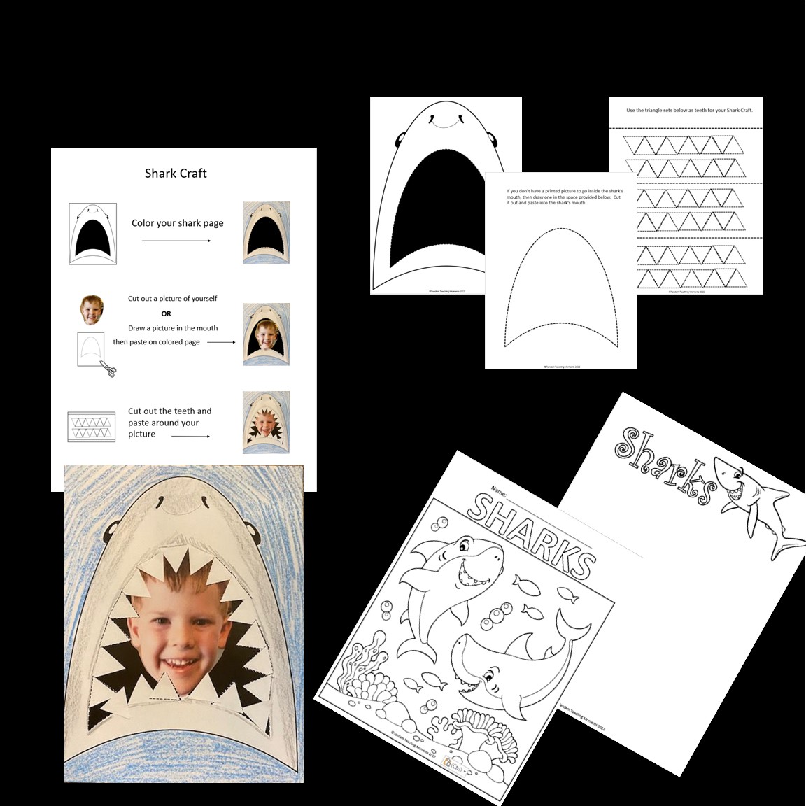 Shark Research Book for primary grades w/video K-3rd | Made By Teachers
