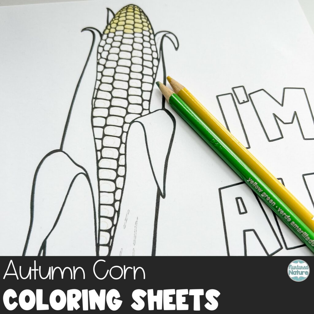 Corn Puns Fall Coloring Sheets - Made By Teachers
