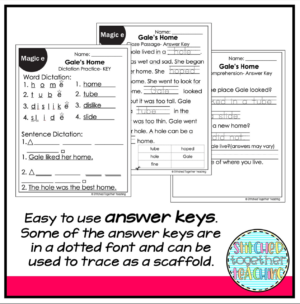 Decodable Reading Passages Final T Blends- Orton Gillingham - Made By ...