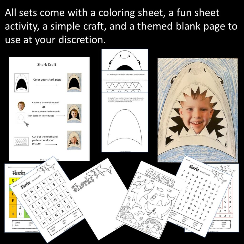 Sea Life Research Bundle K-3rd | Made By Teachers