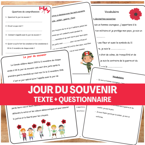 French Jour du Souvenir Remembrance Day Texte+Questionnaire | Made By ...
