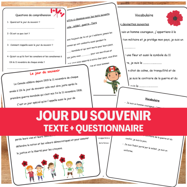French Jour du Souvenir Remembrance Day Texte+Questionnaire | Made By ...