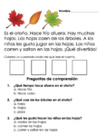 Spanish Reading Comprehension Passages Short Stories Paragraphs ...