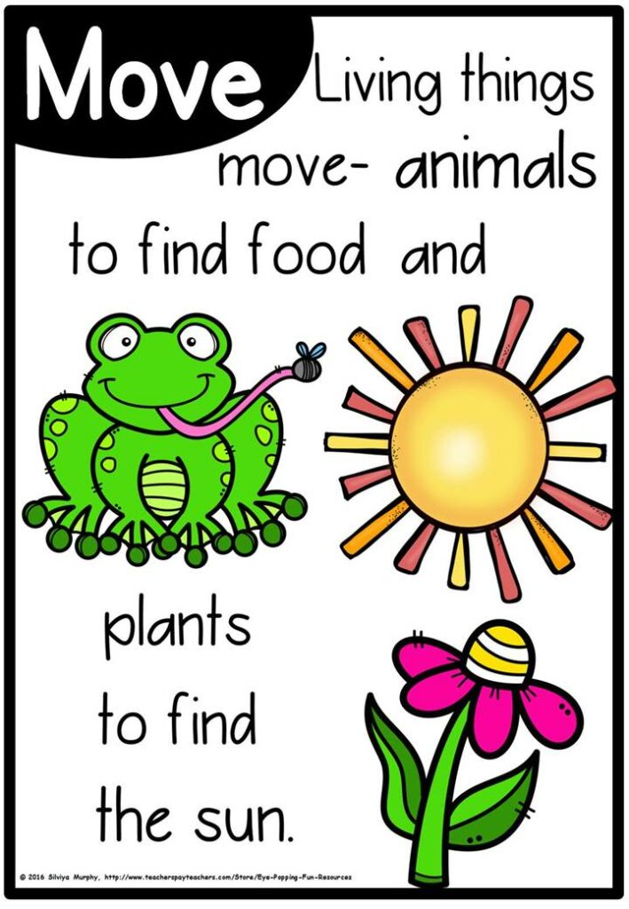 Living or non living posters - Made By Teachers