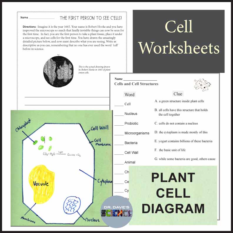 5th grade Georgia Standards of Excellence Science Cells and ...