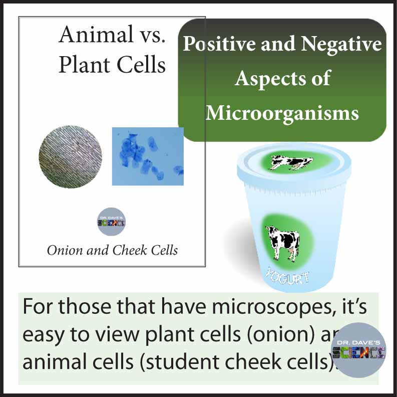 5th grade Georgia Standards of Excellence Science Cells and ...