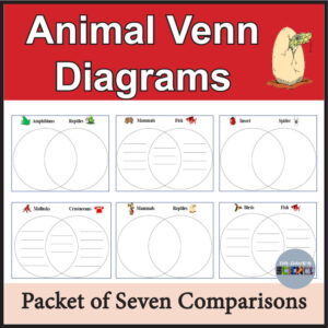 Animal Venn Diagrams - Made By Teachers