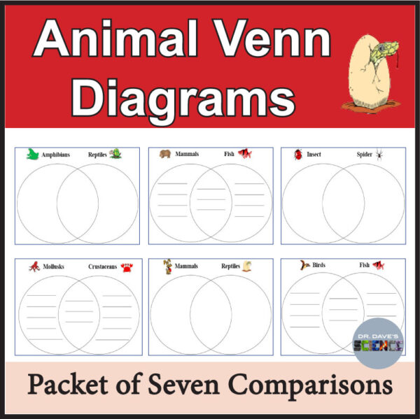 Animal Venn Diagrams | Made By Teachers