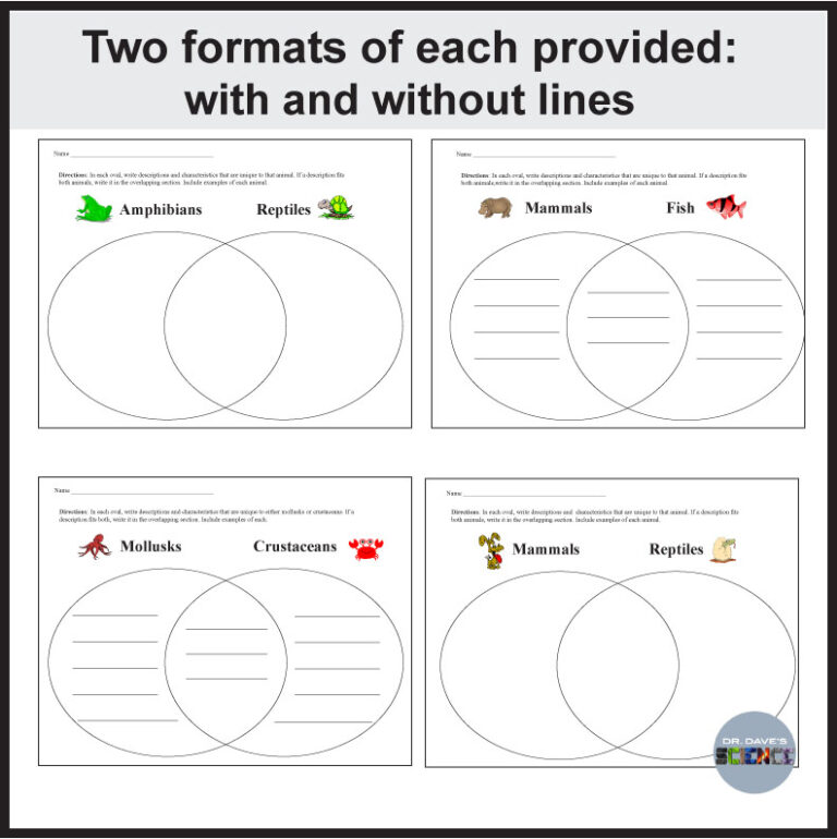 Animal Venn Diagrams - Made By Teachers