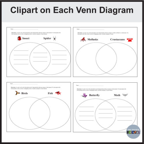 Animal Venn Diagrams - Made By Teachers