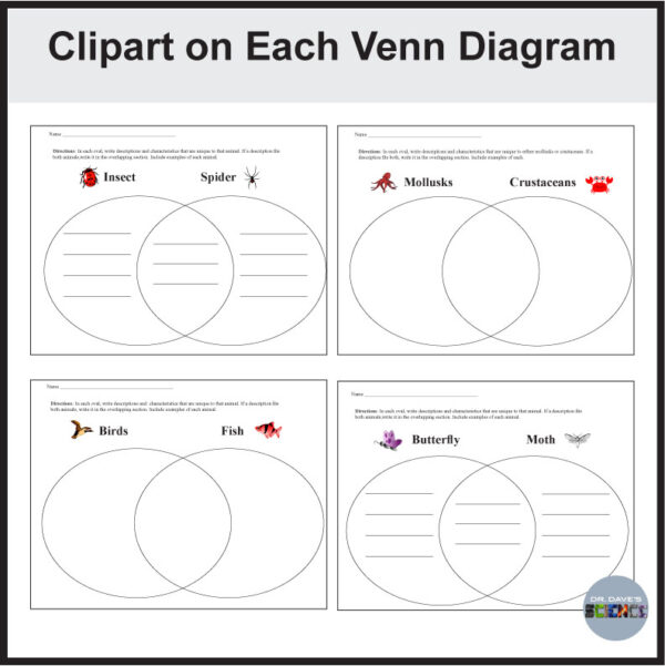 Animal Venn Diagrams - Made By Teachers