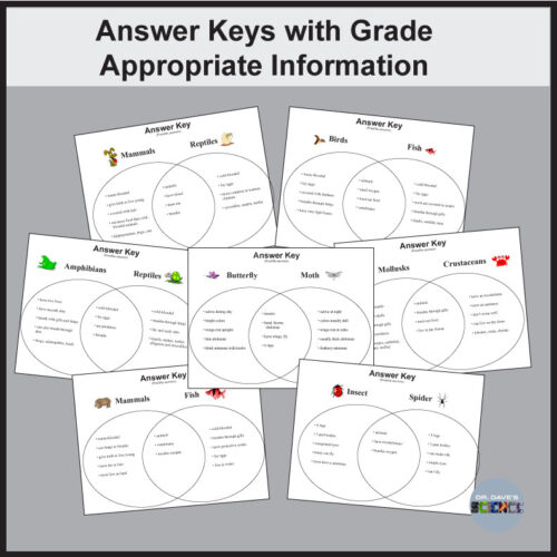 Animal Venn Diagrams - Made By Teachers