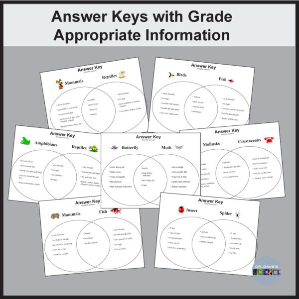 Animal Venn Diagrams | Made By Teachers