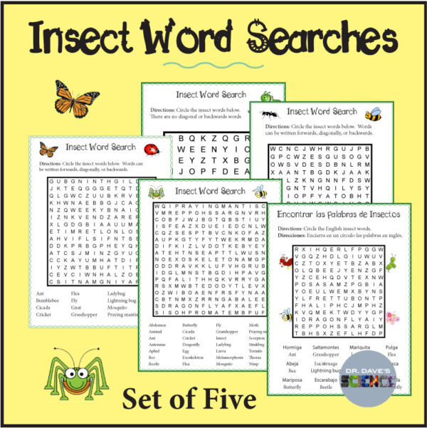 Insects and Bugs Word Search Puzzle Insect Activity - Made By Teachers