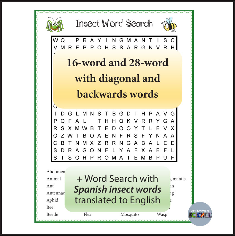 Insects and Bugs Word Search Puzzle Insect Activity | Made By Teachers