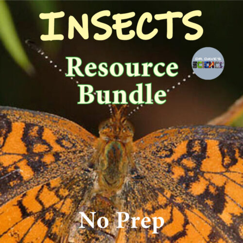 Insects Resource Bundle, Bugs and Insect Activities - Made By Teachers