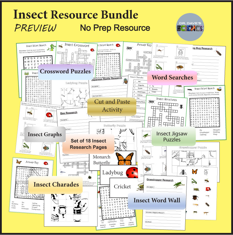 Insects Resource Bundle, Bugs and Insect Activities | Made By Teachers