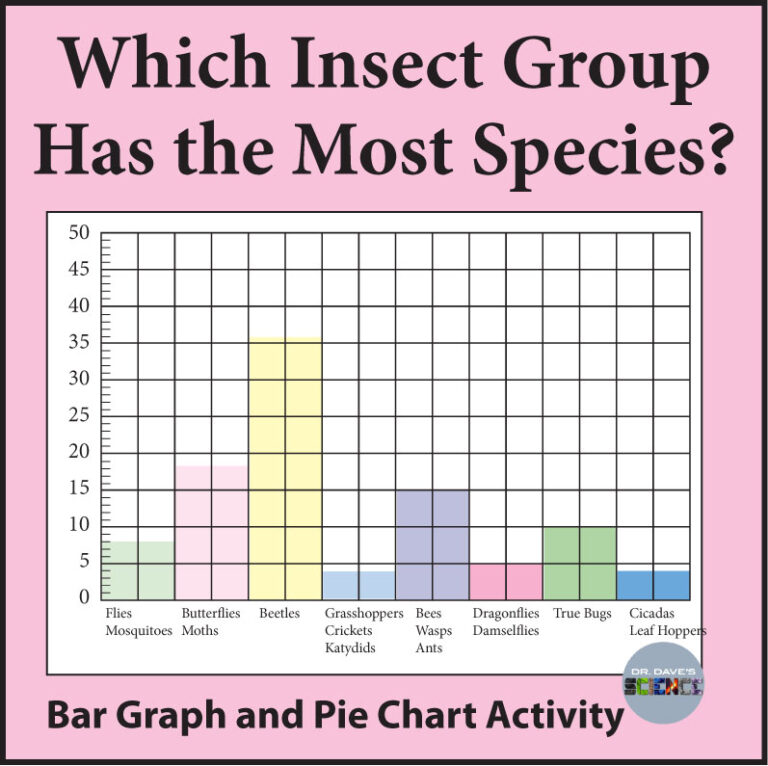 Insects Resource Bundle, Bugs and Insect Activities - Made By Teachers