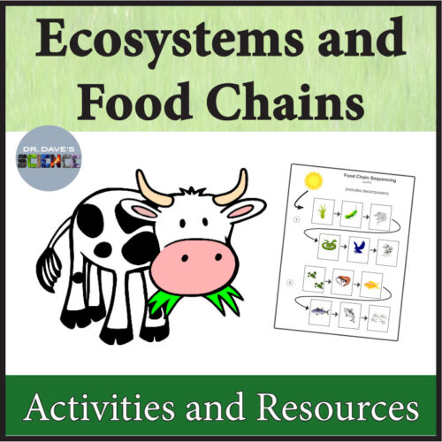 Ecology and Food Chain Activity Packet - Made By Teachers