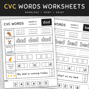 2nd Grade Sight Words: Read, Trace & Write Worksheets & Activities ...
