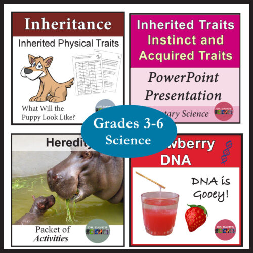 Genetics and Heredity Unit - Made By Teachers