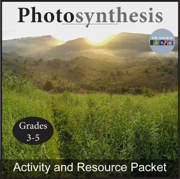 Photosynthesis Activities and Resource Packet - Made By Teachers