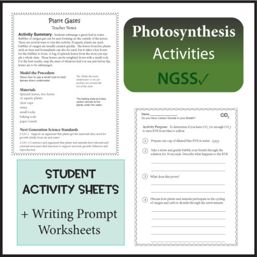 Photosynthesis Activities and Resource Packet - Made By Teachers