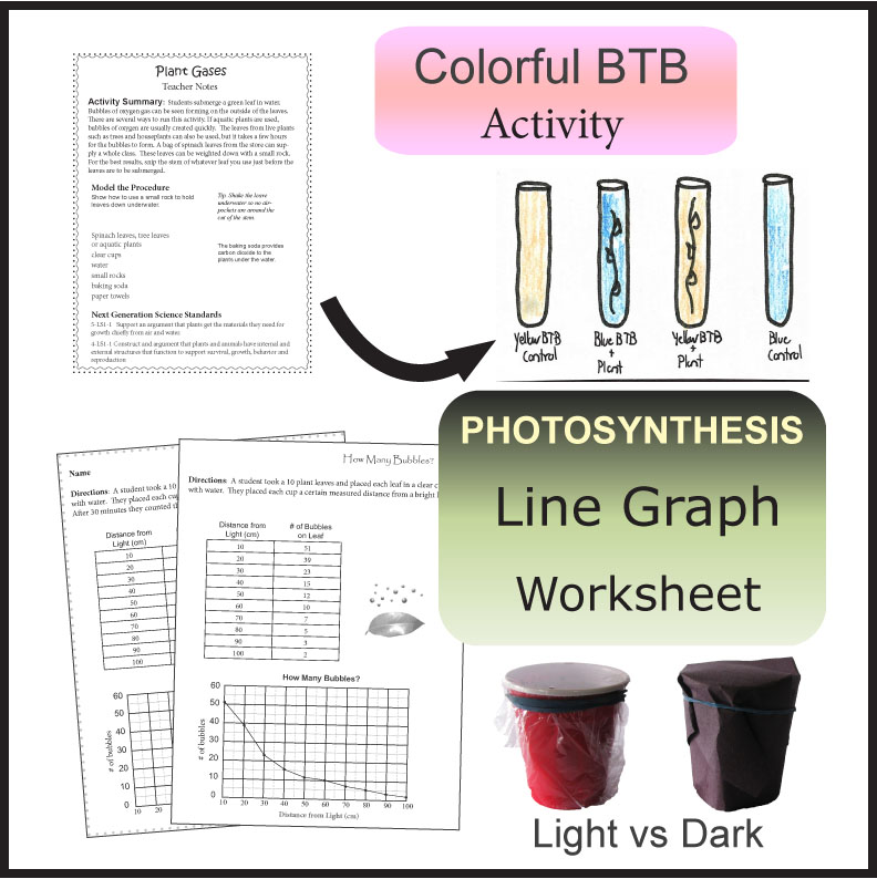 Photosynthesis Activities and Resource Packet | Made By Teachers