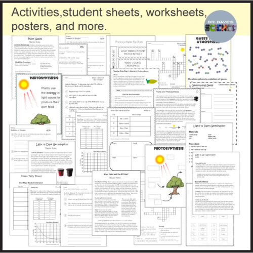 Photosynthesis Activities and Resource Packet - Made By Teachers