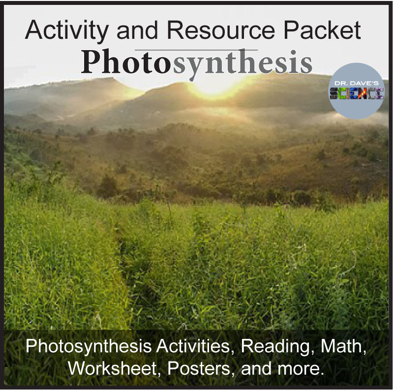 Photosynthesis Activities and Unit Bundle | Made By Teachers
