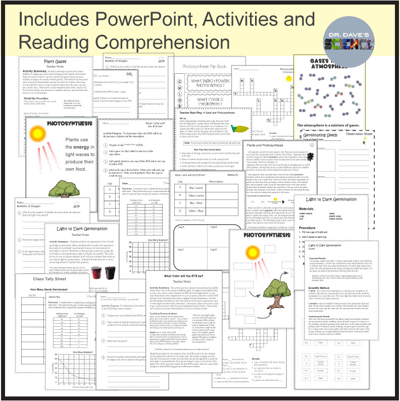 Photosynthesis Activities and Unit Bundle | Made By Teachers