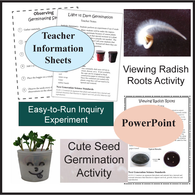 Plant Unit Bundle Parts of Plants Activities - Made By Teachers