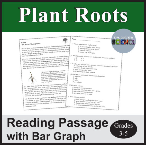 Plant Roots Reading Comprehension Passage and Questions | Made By Teachers