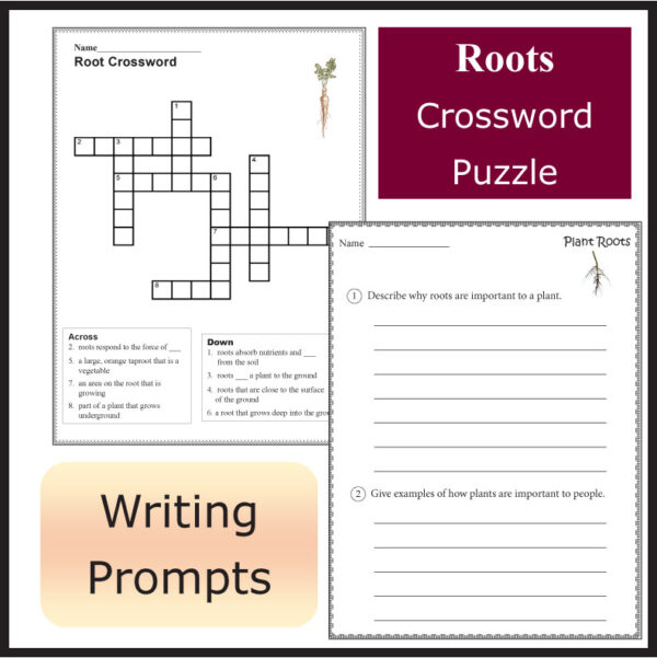 Plant Roots Reading Comprehension Passage and Questions | Made By Teachers