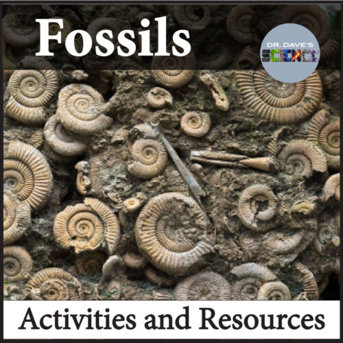 Fossils and Types of Fossils Activities NGSS 3-LS4-1 | Made By Teachers