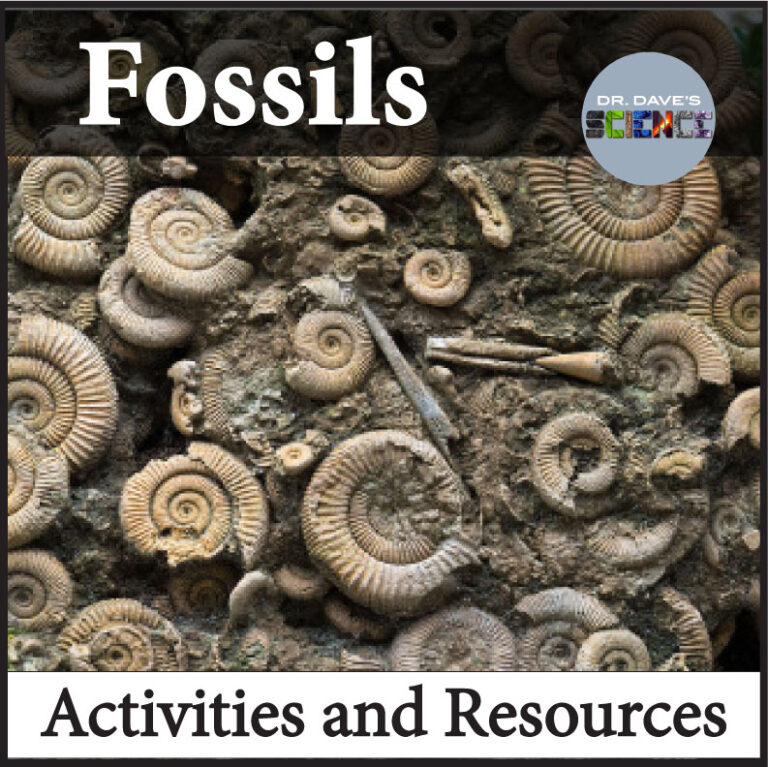 Fossils and Types of Fossils Activities NGSS 3-LS4-1 | Made By Teachers