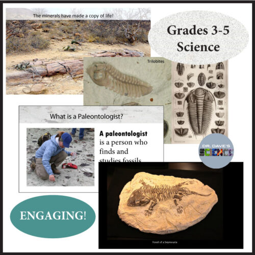 Fossils and Types of Fossils PowerPoint - Made By Teachers