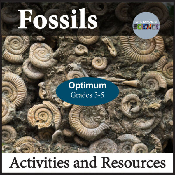 Fossils Unit and Types of Fossils Unit Bundle - Made By Teachers