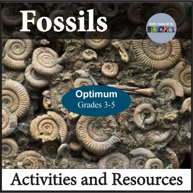 Fossils Unit and Types of Fossils Unit Bundle - Made By Teachers