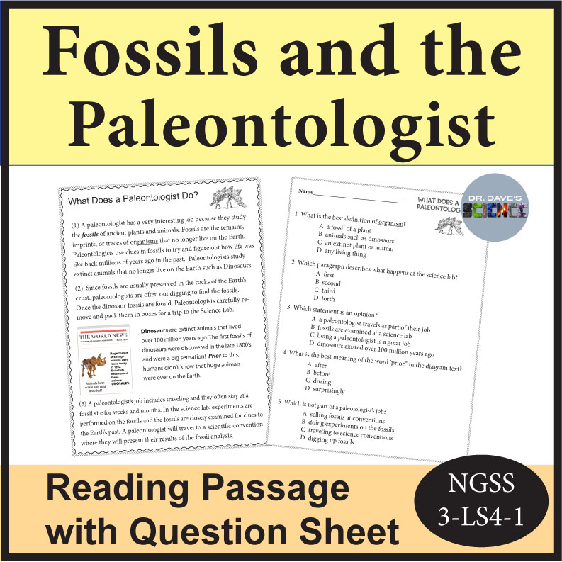 Fossils Unit and Types of Fossils Unit Bundle - Made By Teachers