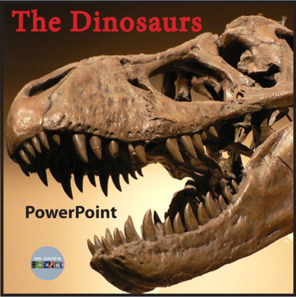 Dinosaurs PowerPoint Presentation - Made By Teachers