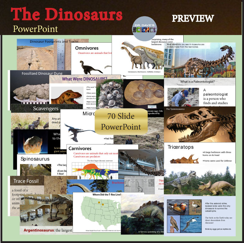Dinosaurs PowerPoint Presentation | Made By Teachers